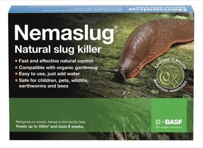 Nemaslug (Phasmarhabditis Hermaphrodita) x30,000,000 – Indoor Organics